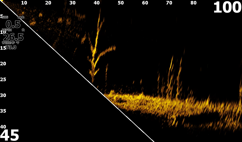 Lowrance Eagle Eye with Live Sonar